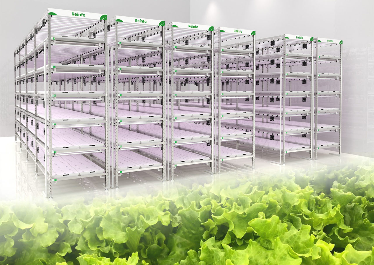 Revolutionizing Indoor Vertical Farming with Reinfa's Innovative NFT ...